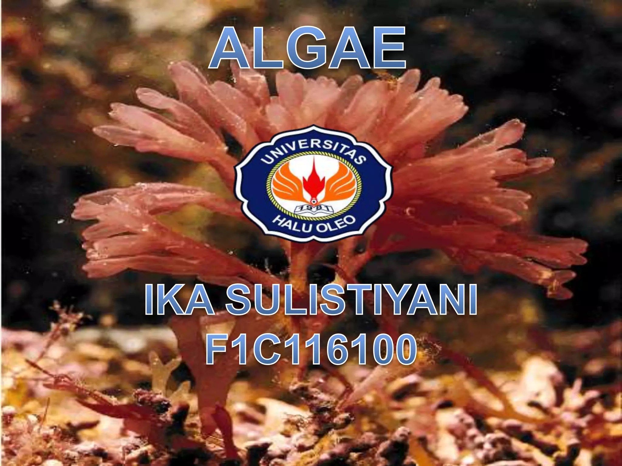 IKA SULISTIANI (PPT 1) | PPTX