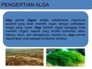 IKA SULISTIANI (PPT 1) | PPTX
