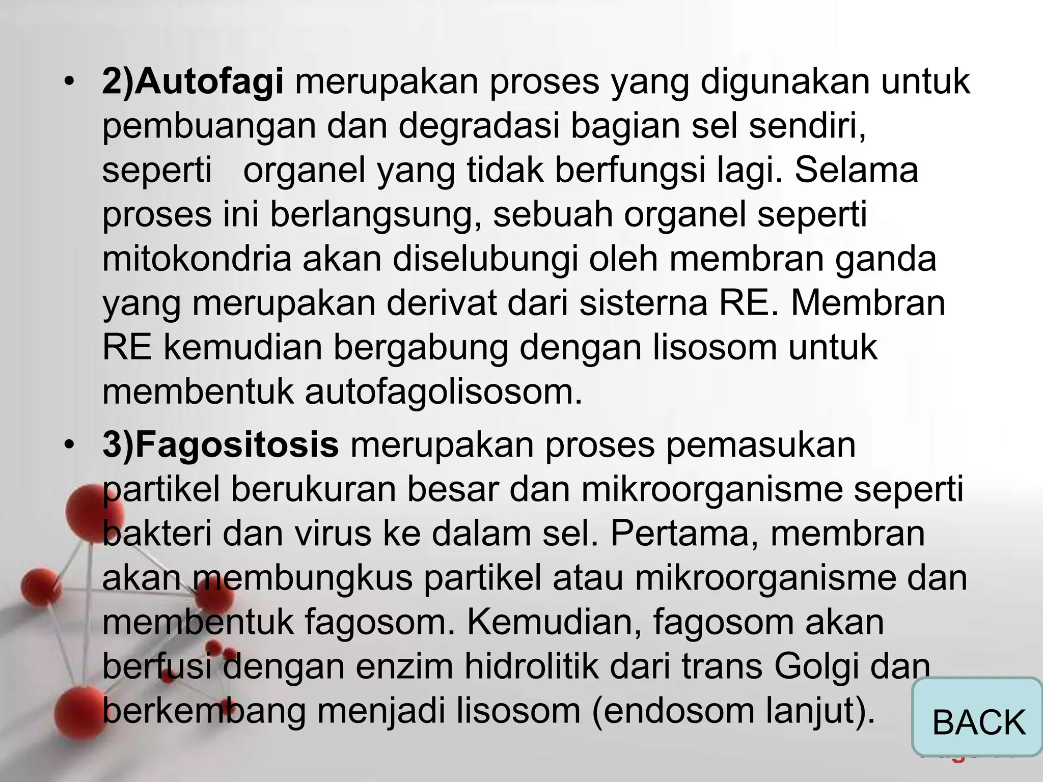 Biologi XI Organela SEL (Lisosom,Peroksisom, Glioksisom) | PPTX