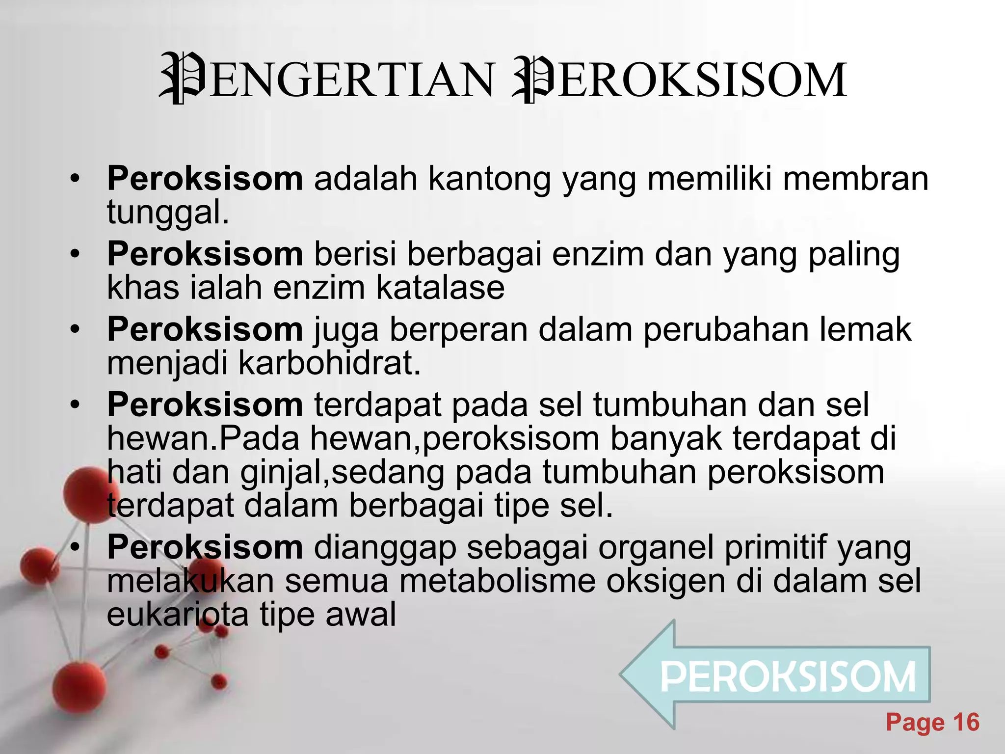 Biologi XI Organela SEL (Lisosom,Peroksisom, Glioksisom) | PPTX