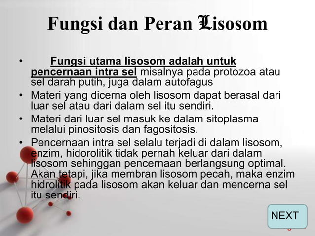 Biologi XI Organela SEL (Lisosom,Peroksisom, Glioksisom) | PPTX