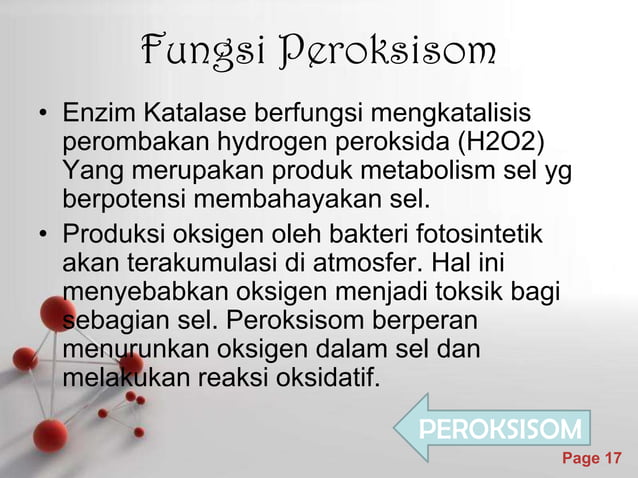 Biologi XI Organela SEL (Lisosom,Peroksisom, Glioksisom) | PPTX