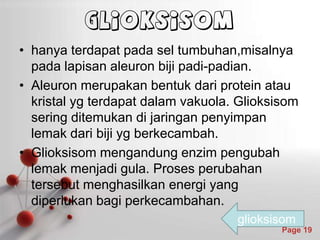 Biologi XI Organela SEL (Lisosom,Peroksisom, Glioksisom) | PPTX