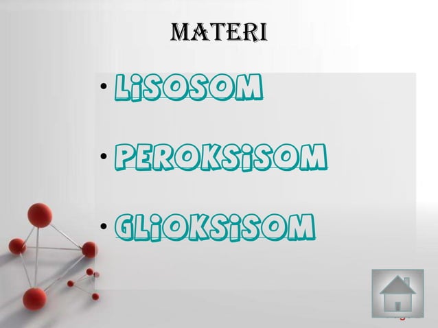 Biologi XI Organela SEL (Lisosom,Peroksisom, Glioksisom) | PPTX