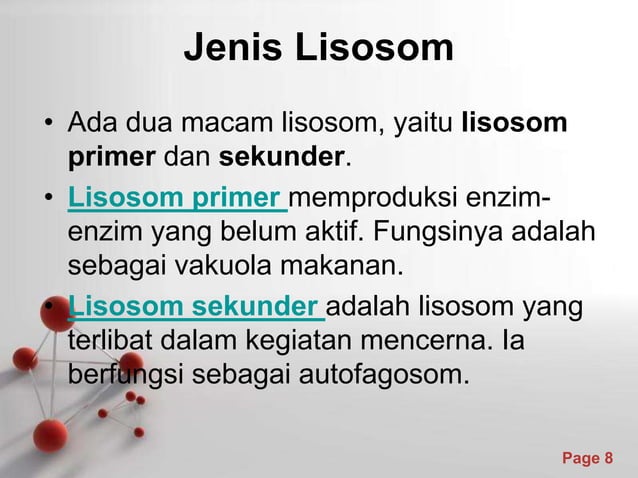 Biologi XI Organela SEL (Lisosom,Peroksisom, Glioksisom) | PPTX