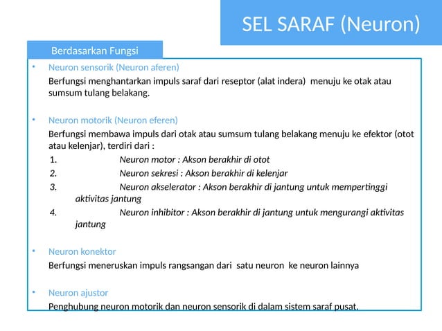 sistem saraf kelas 6 Ilmu Pengetahuan Alam dan Sosial | PPTX