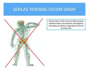 Sistem Saraf (pptx version) | PPTX