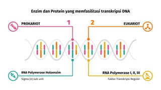 TRANSKRIPSI.pdf