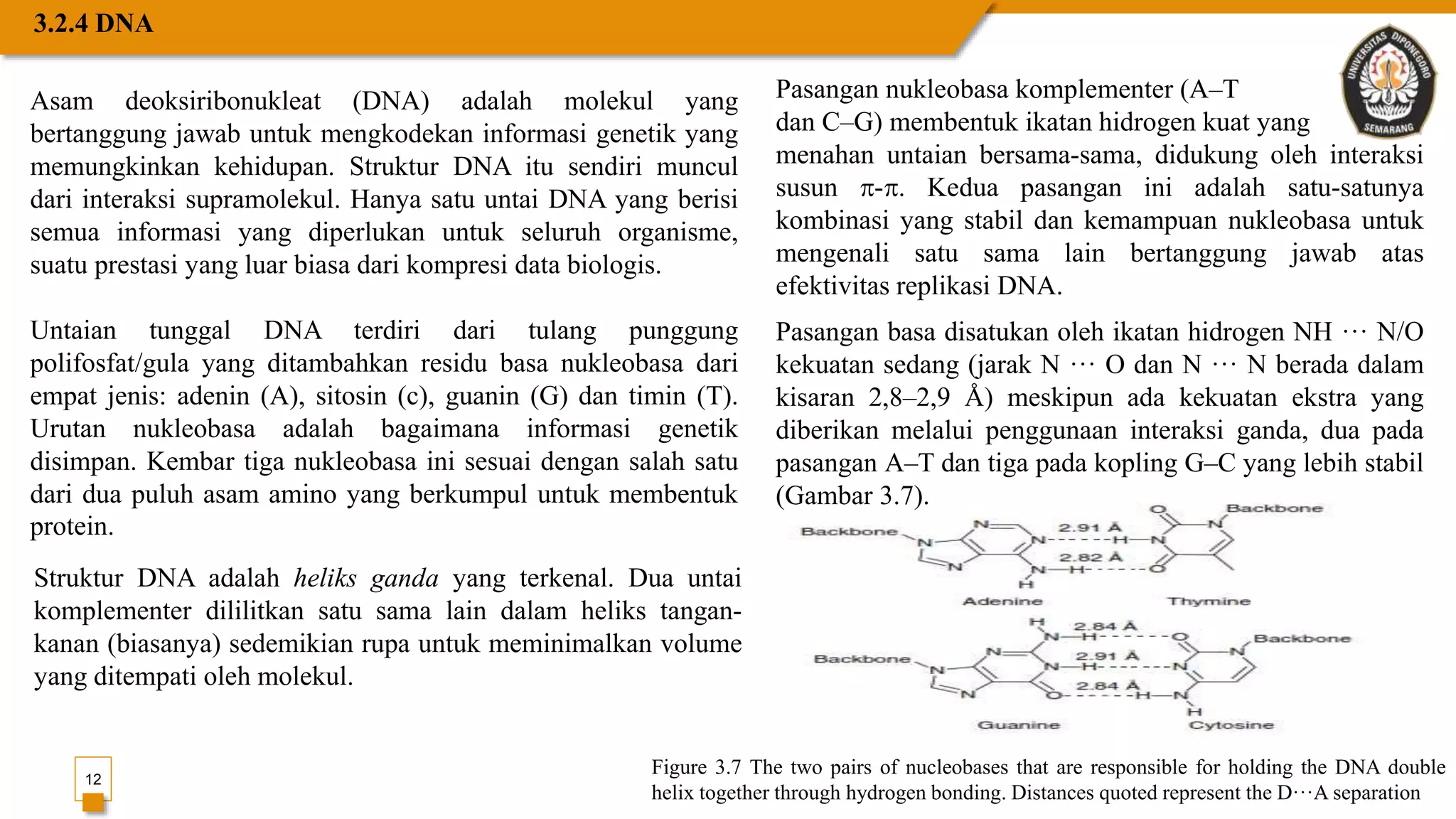 Supramolecule-Self Assembly.pptx