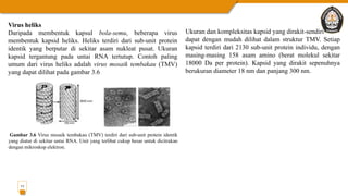 Supramolecule-Self Assembly.pptx