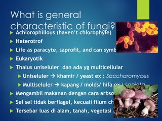 characteristic and structure of fungi | PPT