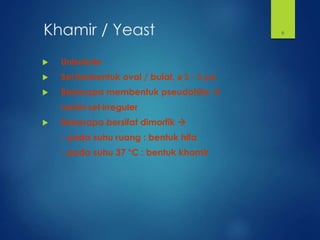 characteristic and structure of fungi | PPTX