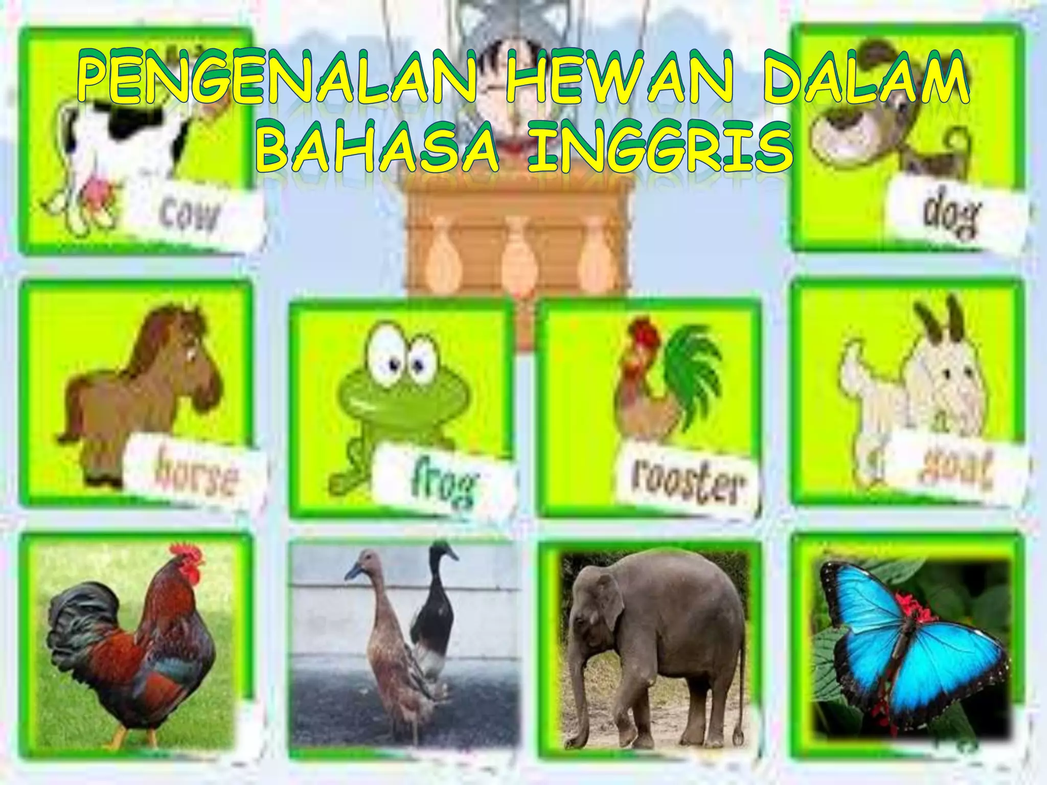 Mengenal hewan dalam bahasa inggris | PPTX