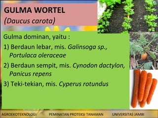 Gulma Pada Tanaman Hortikultura | PPT