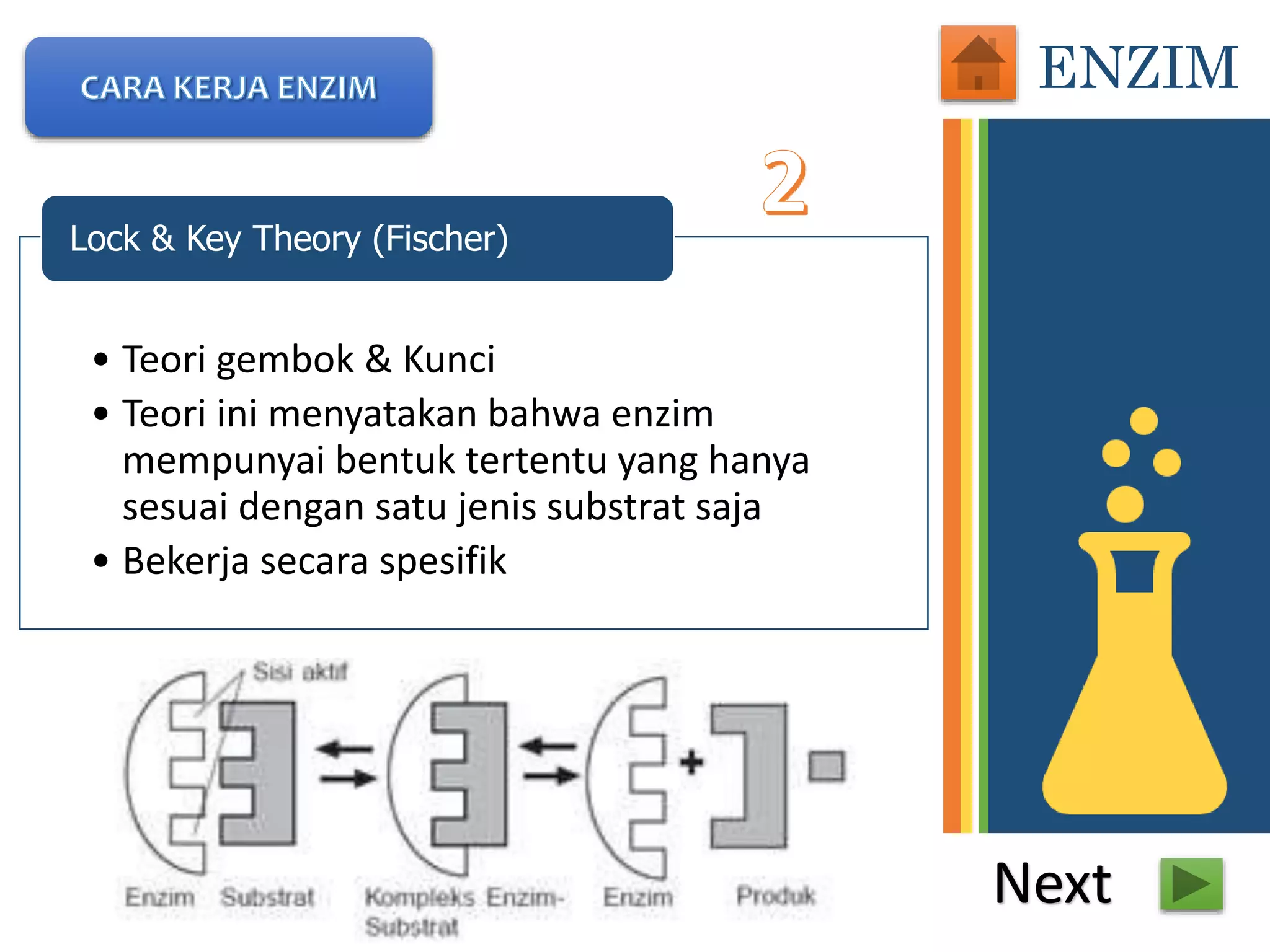 Materi Enzim dan Metabolisme Kelas XII SMA & SMK | PPTX