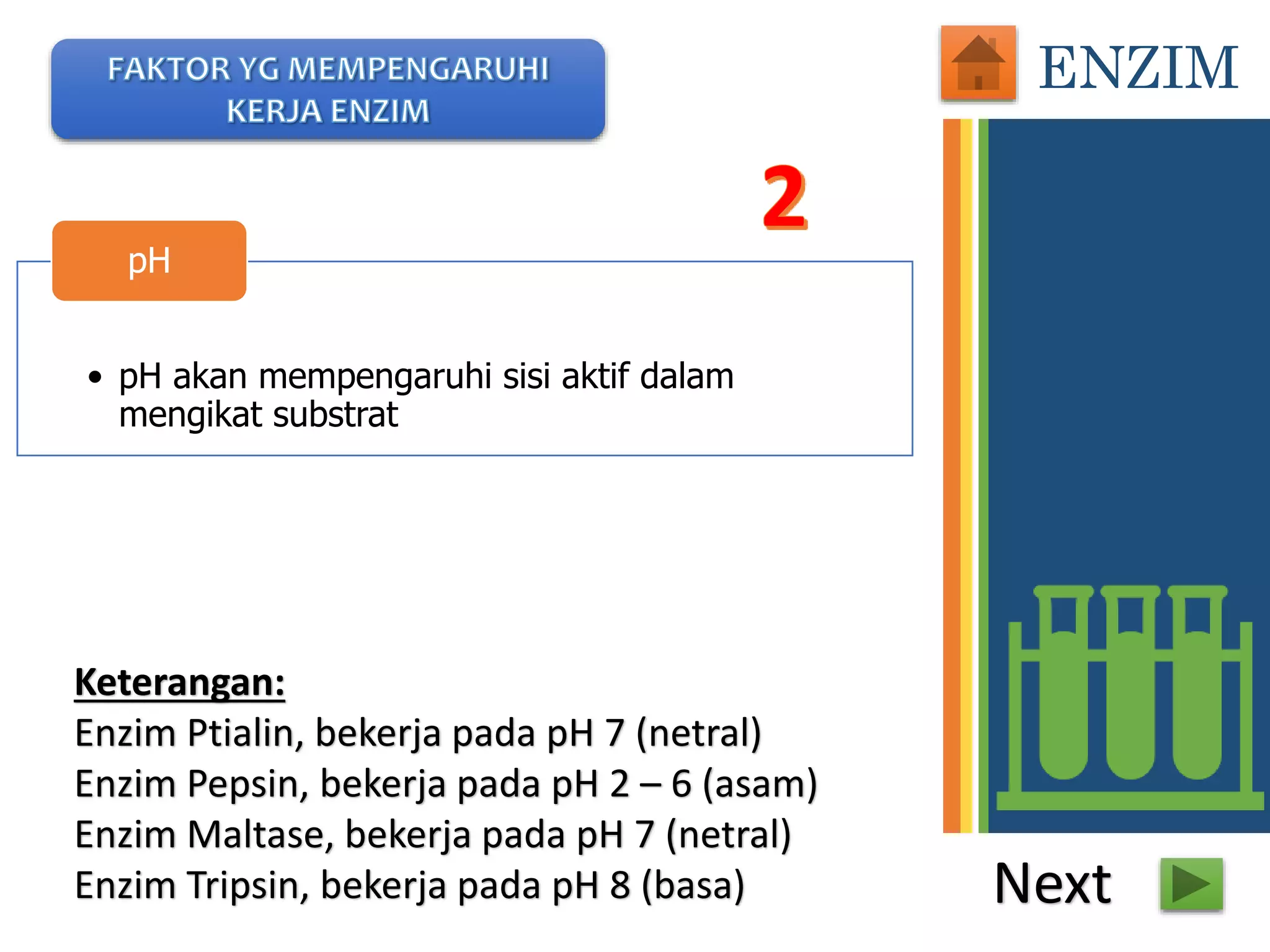 Materi Enzim dan Metabolisme Kelas XII SMA & SMK | PPTX