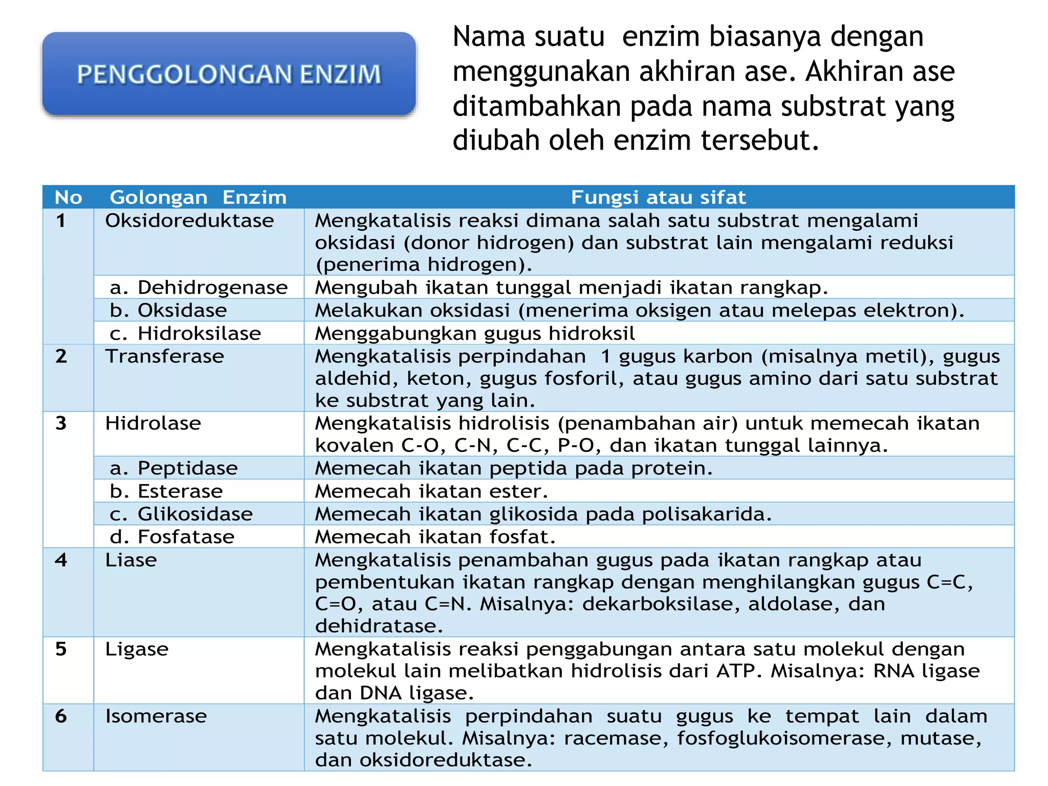 Materi Enzim dan Metabolisme Kelas XII SMA & SMK | PPTX