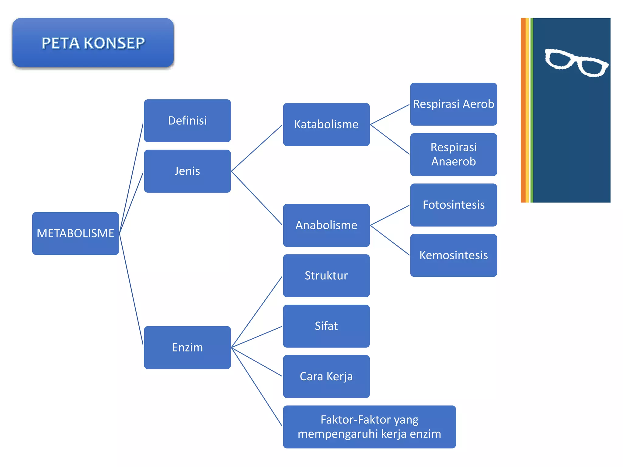 Materi Enzim dan Metabolisme Kelas XII SMA & SMK | PPTX