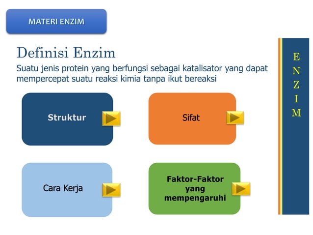 Materi Enzim dan Metabolisme Kelas XII SMA & SMK | PPTX