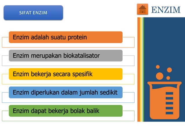 Materi Enzim dan Metabolisme Kelas XII SMA & SMK | PPTX