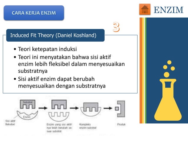 Materi Enzim dan Metabolisme Kelas XII SMA & SMK | PPTX