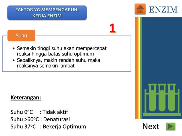 Materi Enzim dan Metabolisme Kelas XII SMA & SMK | PPTX