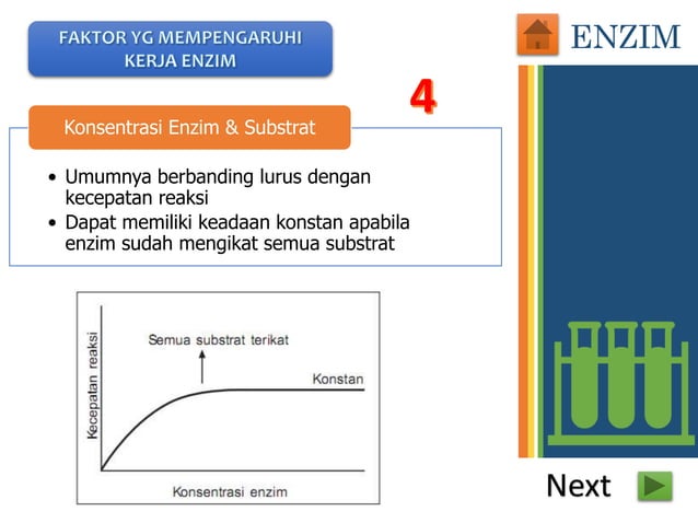 Materi Enzim dan Metabolisme Kelas XII SMA & SMK | PPTX