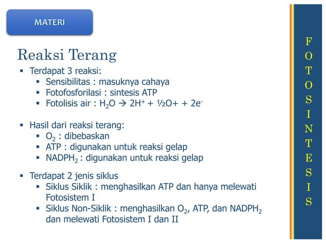 Materi Enzim dan Metabolisme Kelas XII SMA & SMK | PPTX