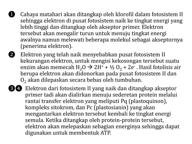 Materi Enzim dan Metabolisme Kelas XII SMA & SMK | PPTX