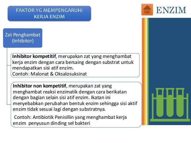 Contoh Enzim Dan Hasil Kerjanya Yang Berperan Dalam Metabolisme Sel ...