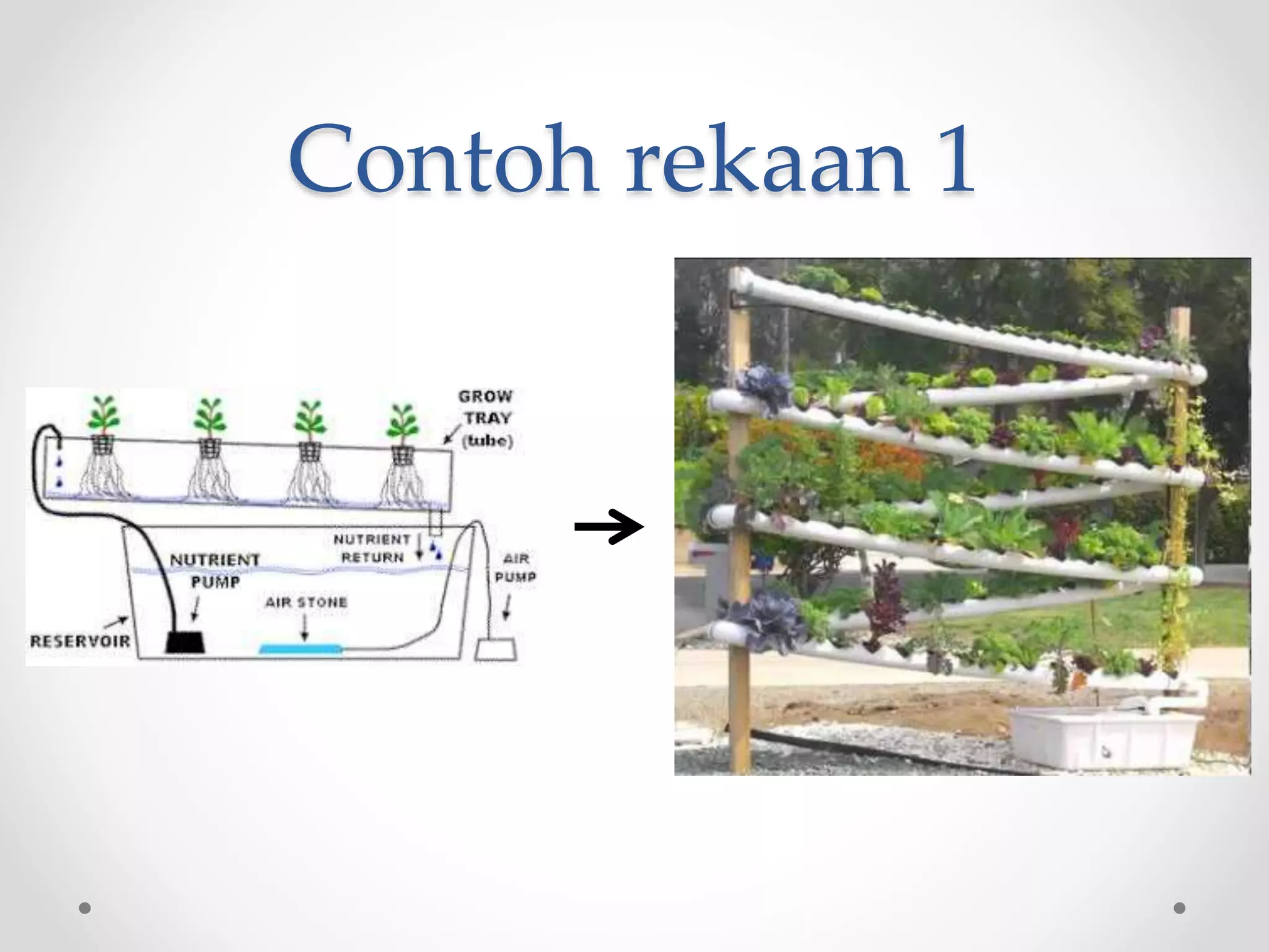 Projek Reka Bentuk Sistem Hidroponik - Tan Guo Heng GA04176 | PPTX
