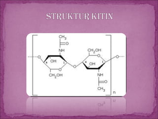 Tugasan1 polisakarida | PPT