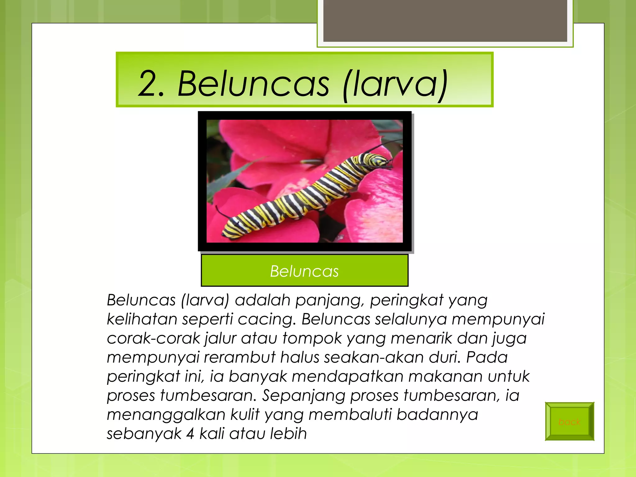 Tugasan 3(a)full slide rpa | PPT