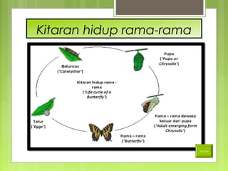 Tugasan 3(a)full slide rpa | PPT