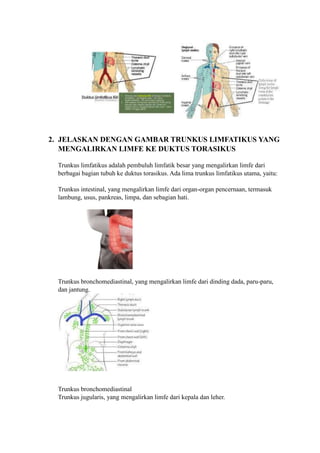 TUGAS ANATOMI SISTEM LIMFATIK BAGI TENAGA KESEHATAN | DOCX