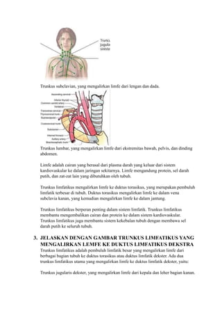 TUGAS ANATOMI SISTEM LIMFATIK BAGI TENAGA KESEHATAN | DOCX