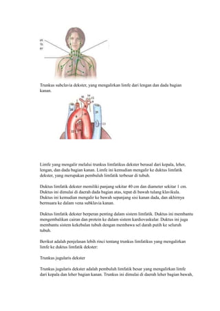 TUGAS ANATOMI SISTEM LIMFATIK BAGI TENAGA KESEHATAN | DOCX
