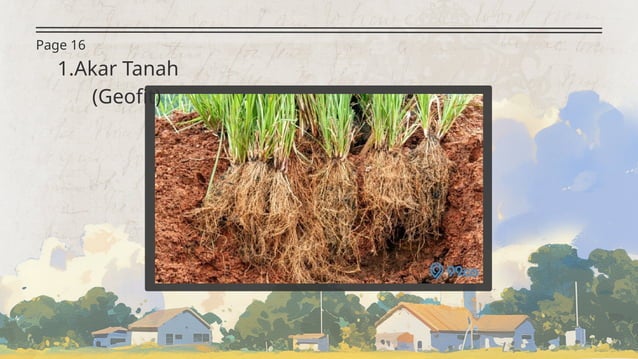 Plant Anatomy (Types of roots and their modifications) root constituent ...