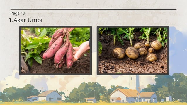 Plant Anatomy (Types of roots and their modifications) root constituent ...