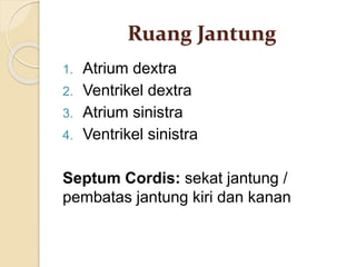 TUGAS ANFIS MATERI 1. SISTEM KARDIOVASKULER.pptx