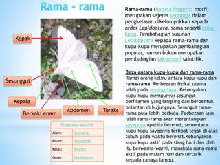 Tugasan kumpulan mengenai sifat fizikal serangga | PPTX