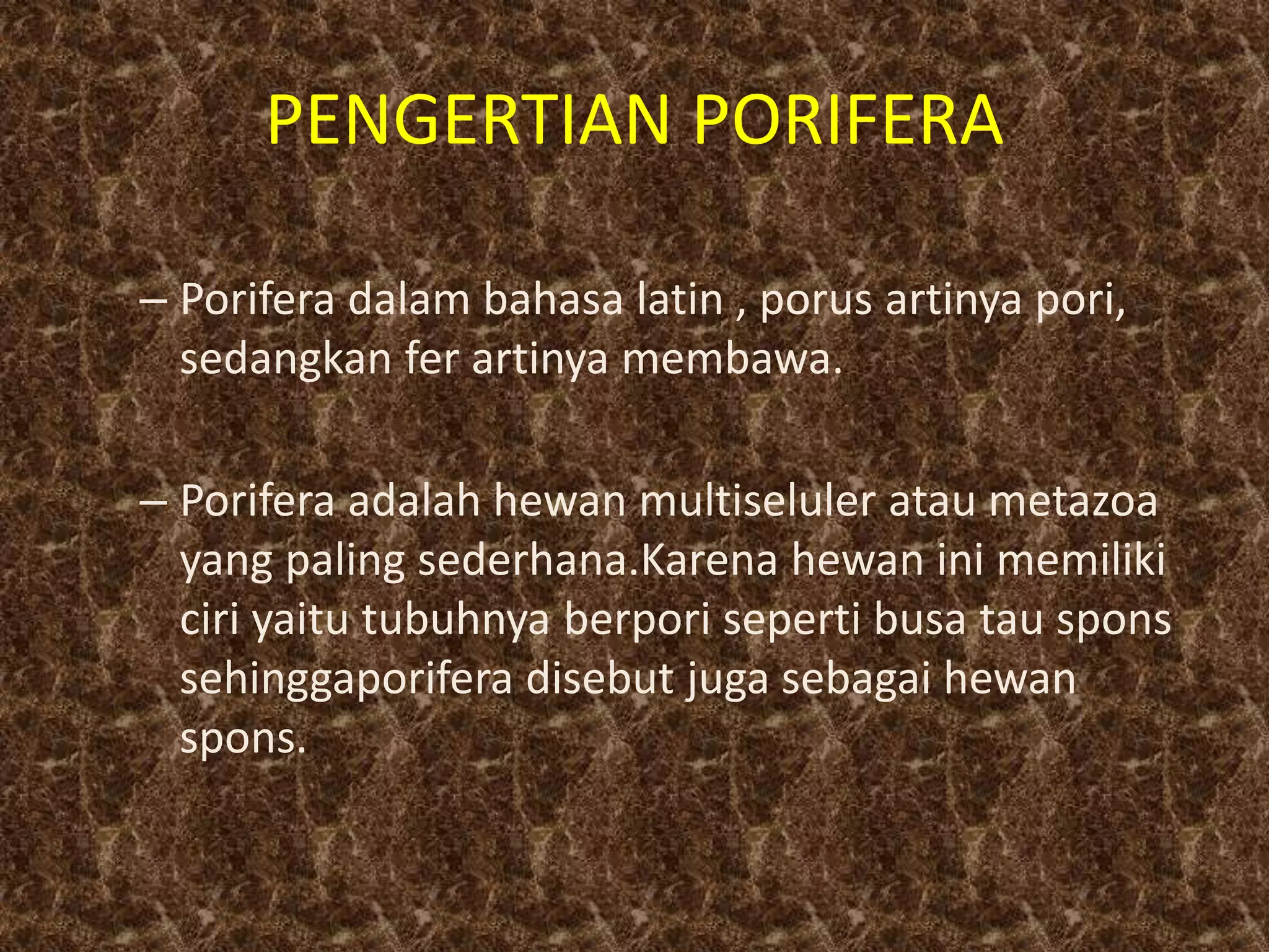 PHYLUM PORIFERA | PPTX