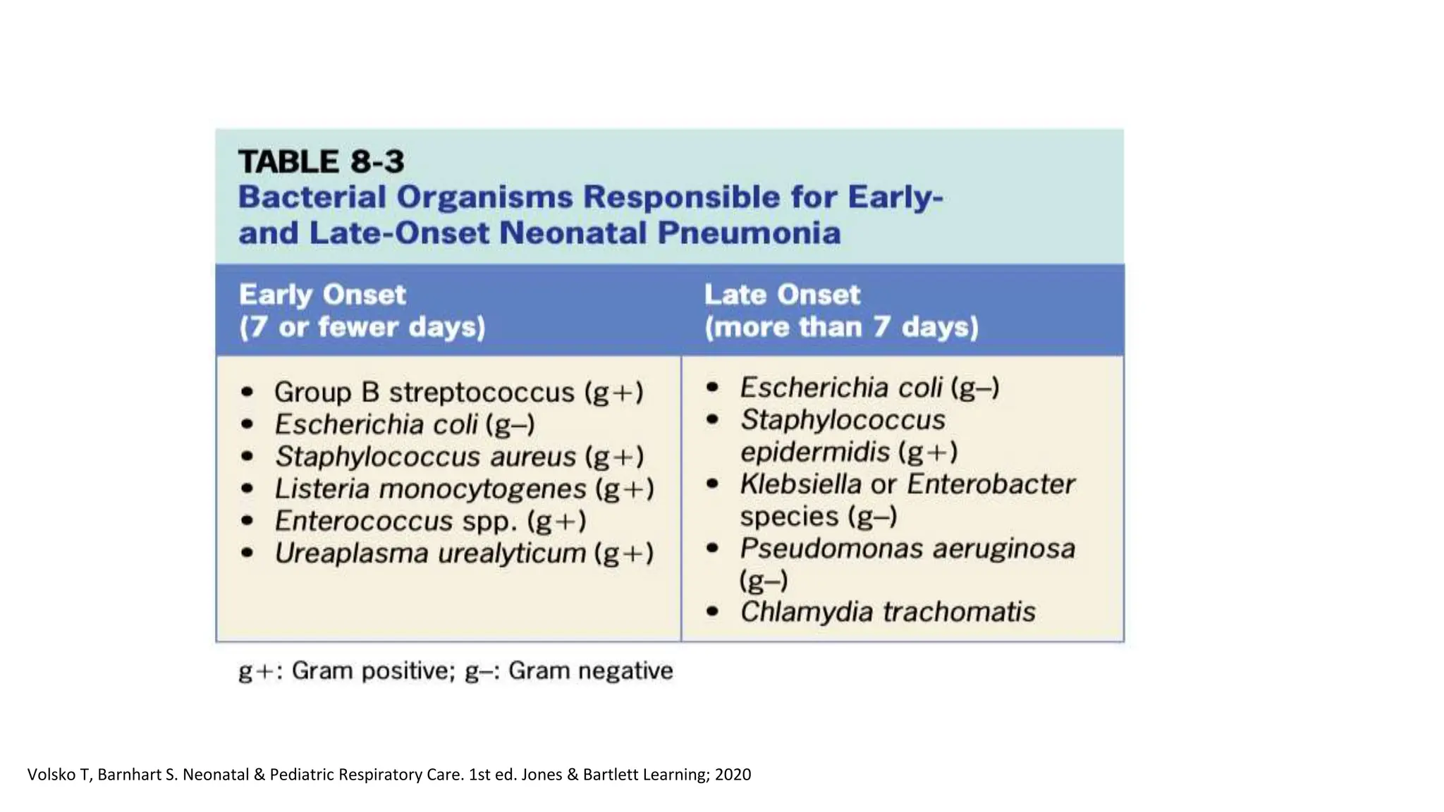Neonatal Pneumonia in Newborn Neonatal pneumonia | PPTX