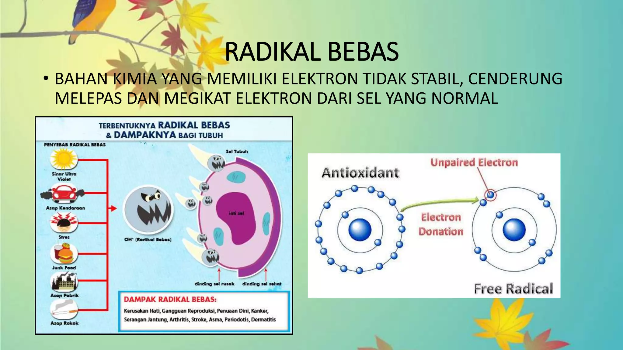 Tugas biokim ppt | PPTX