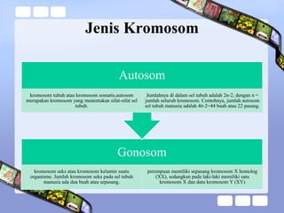 Kromosom Dan Gen | PPTX