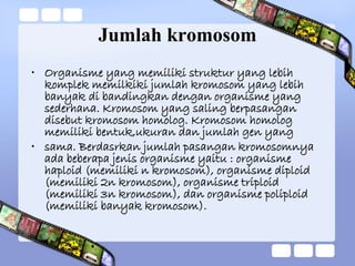 Kromosom Dan Gen | PPTX