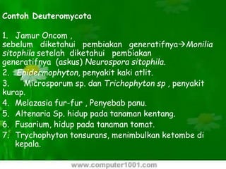 Jamur Deuteromycota | PPT