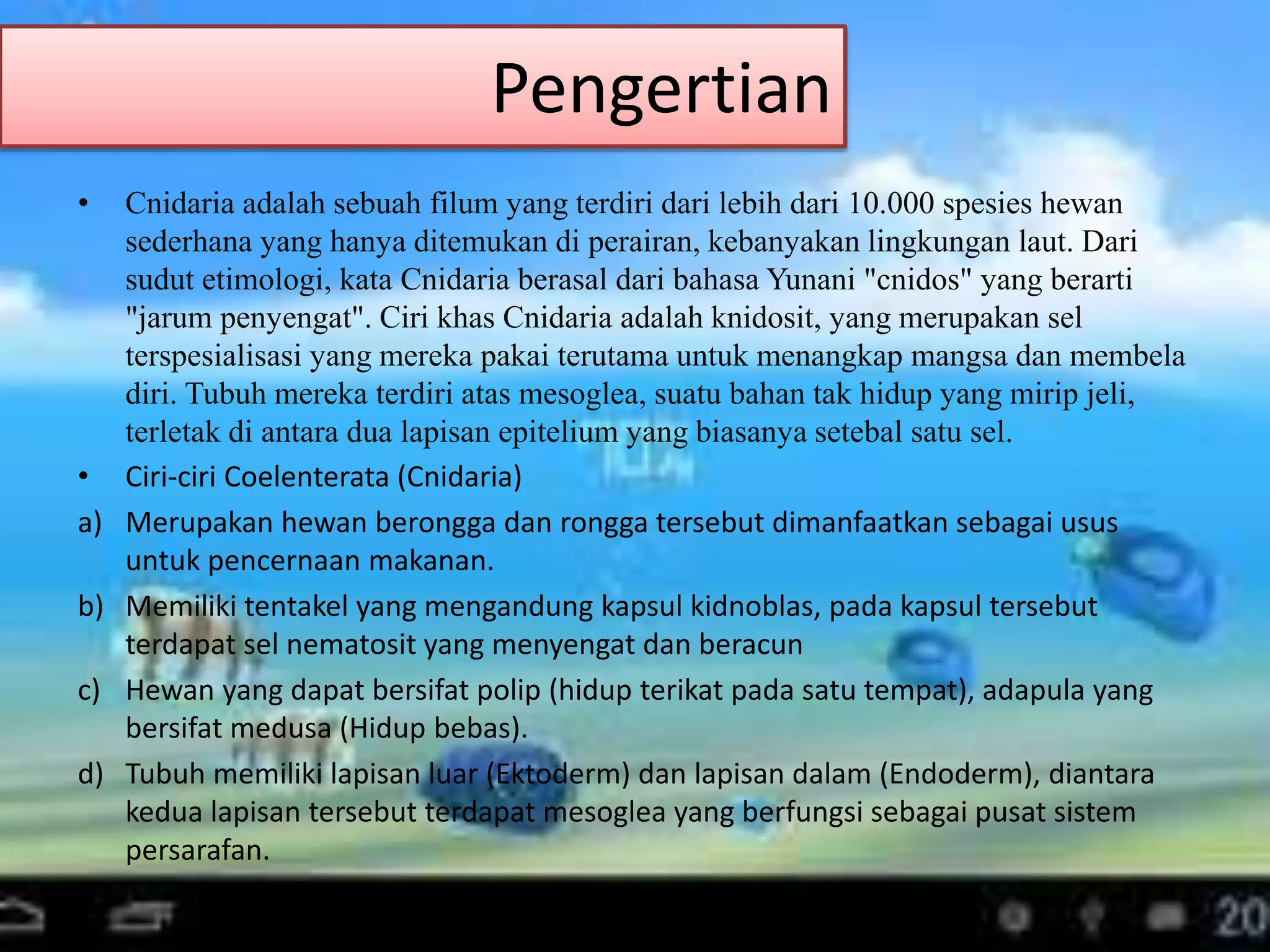 coelenterata (cnidaria) shintt's | PPTX