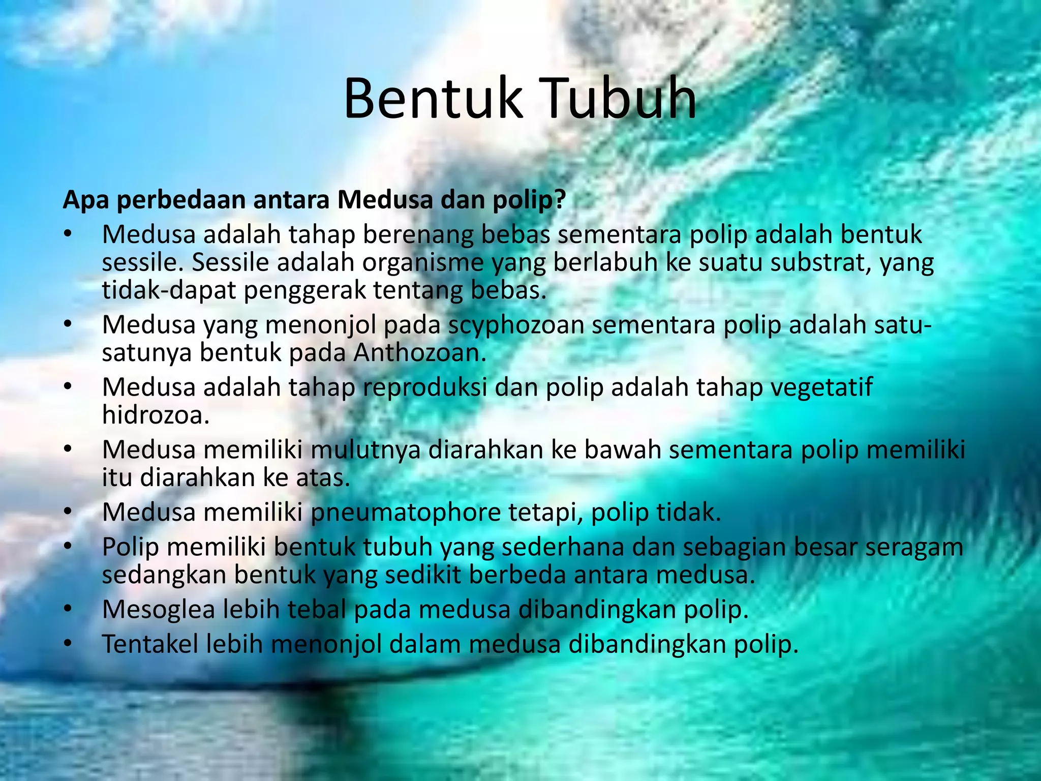 coelenterata (cnidaria) shintt's | PPTX