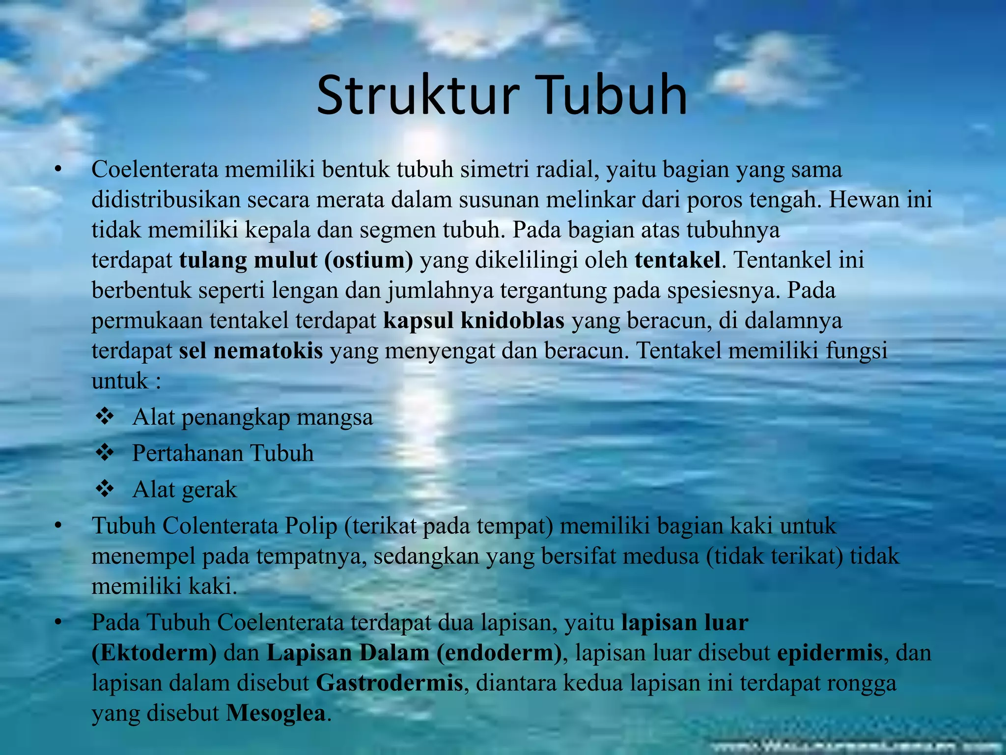 coelenterata (cnidaria) shintt's | PPTX